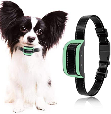 Los 10 mejores collares antiladridos para perros que no debes dejar ...