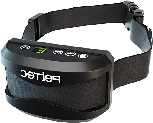 Los 10 mejores collares antiladridos para perros que no debes dejar ...