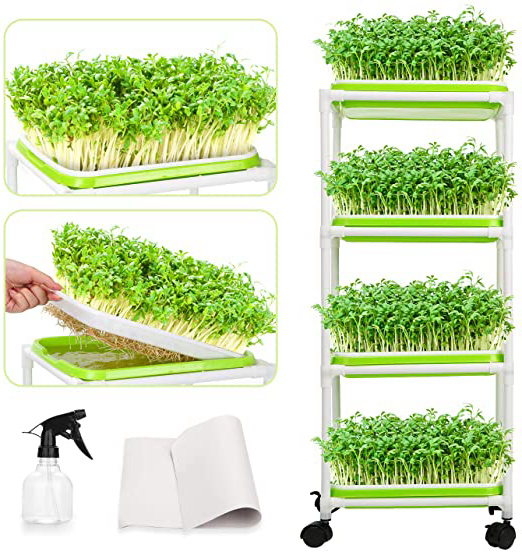 Los 10 mejores germinadores con toda la información > Boomten.com
