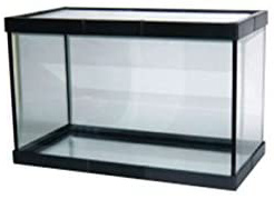 Los 10 mejores peceras que hay a la venta online > Boomten.com