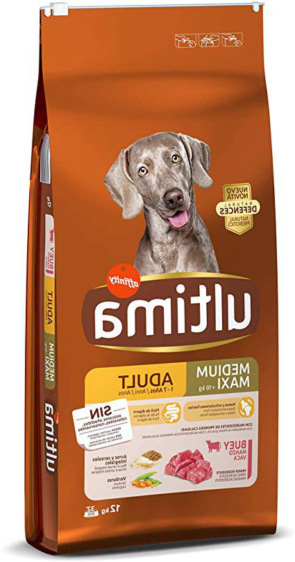 Las 10 mejores piensos para perro que te van a encantar > Boomten.com