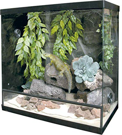Los 10 mejores terrarios que no puedes perderte > Boomten.com