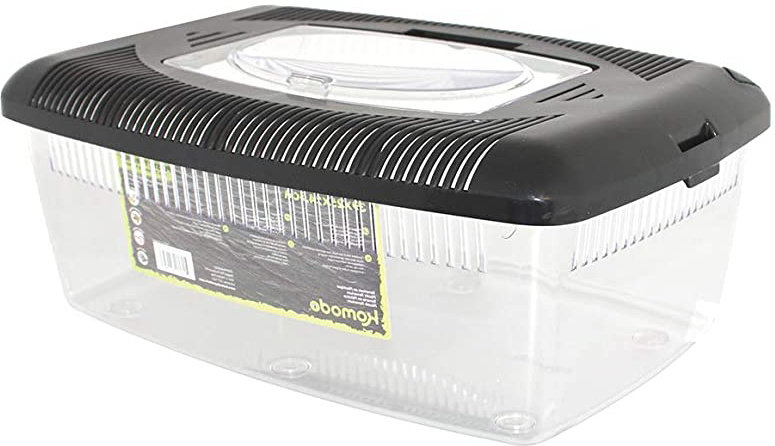 Los 10 mejores terrarios que no puedes perderte > Boomten.com