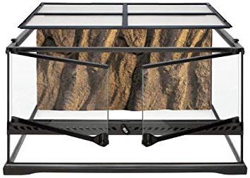 Los 10 mejores terrarios que no puedes perderte > Boomten.com